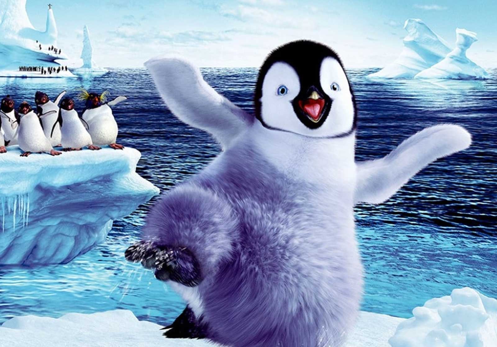 Happy Feet - Mawson's Huts Foundation
